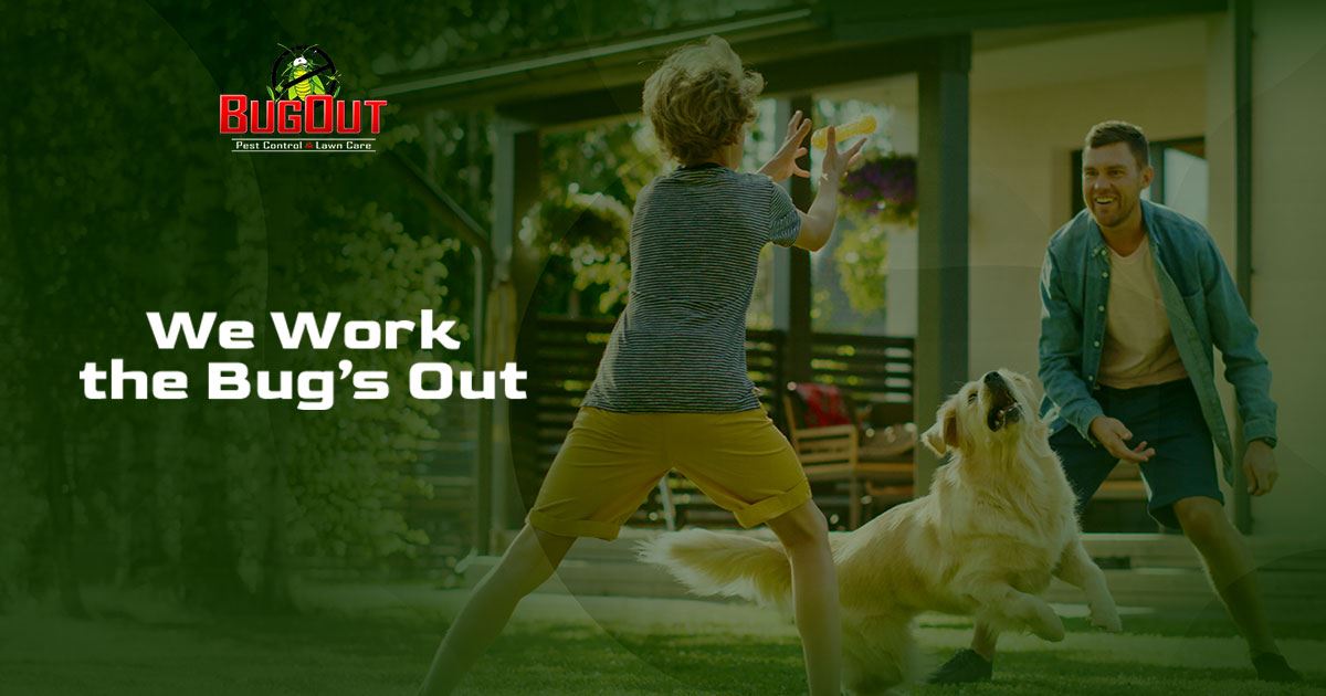 About Us | BugOut Pest Control