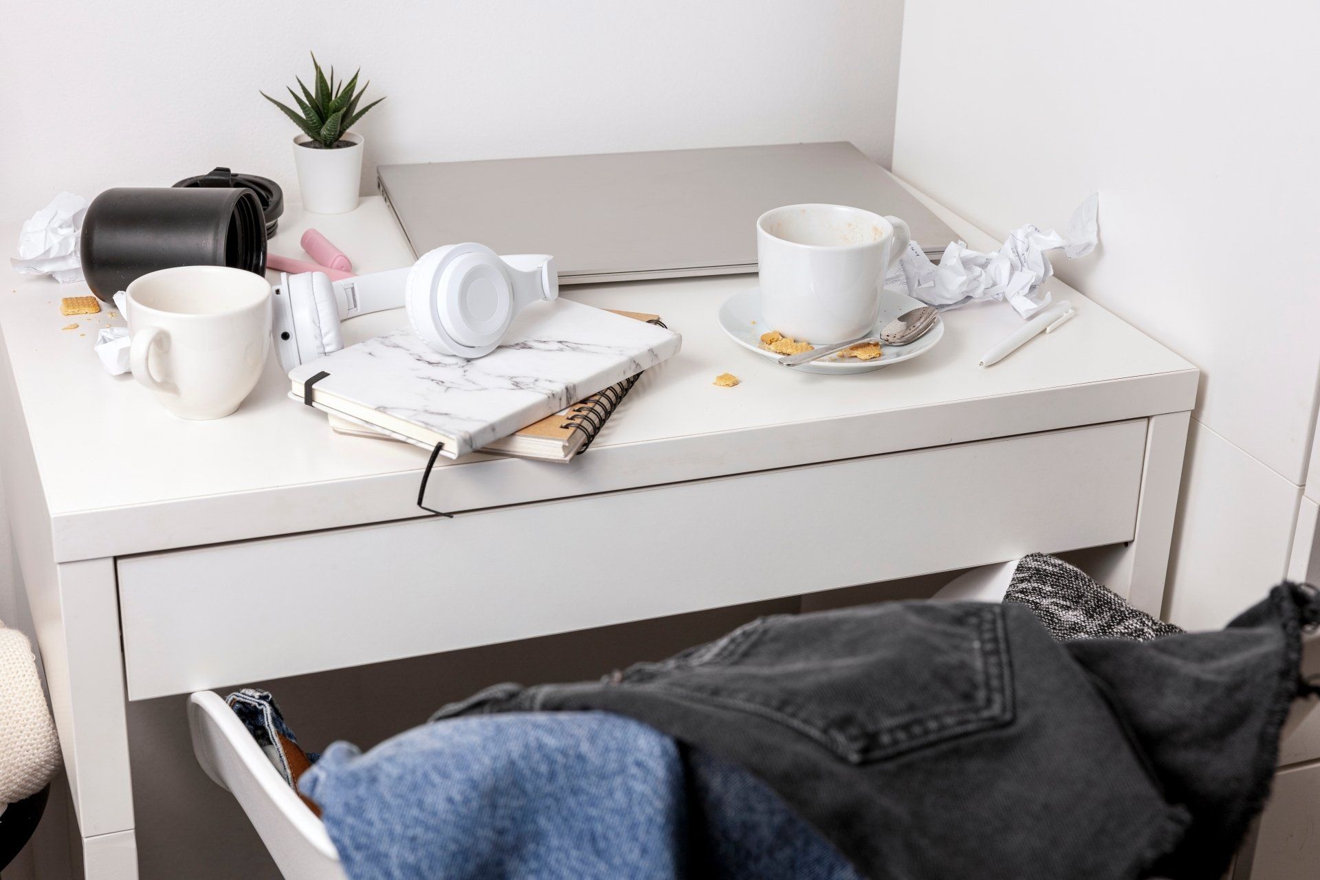 Clutter Cleaning to Prevent Mid-MO Pests | BugOut Pest Control